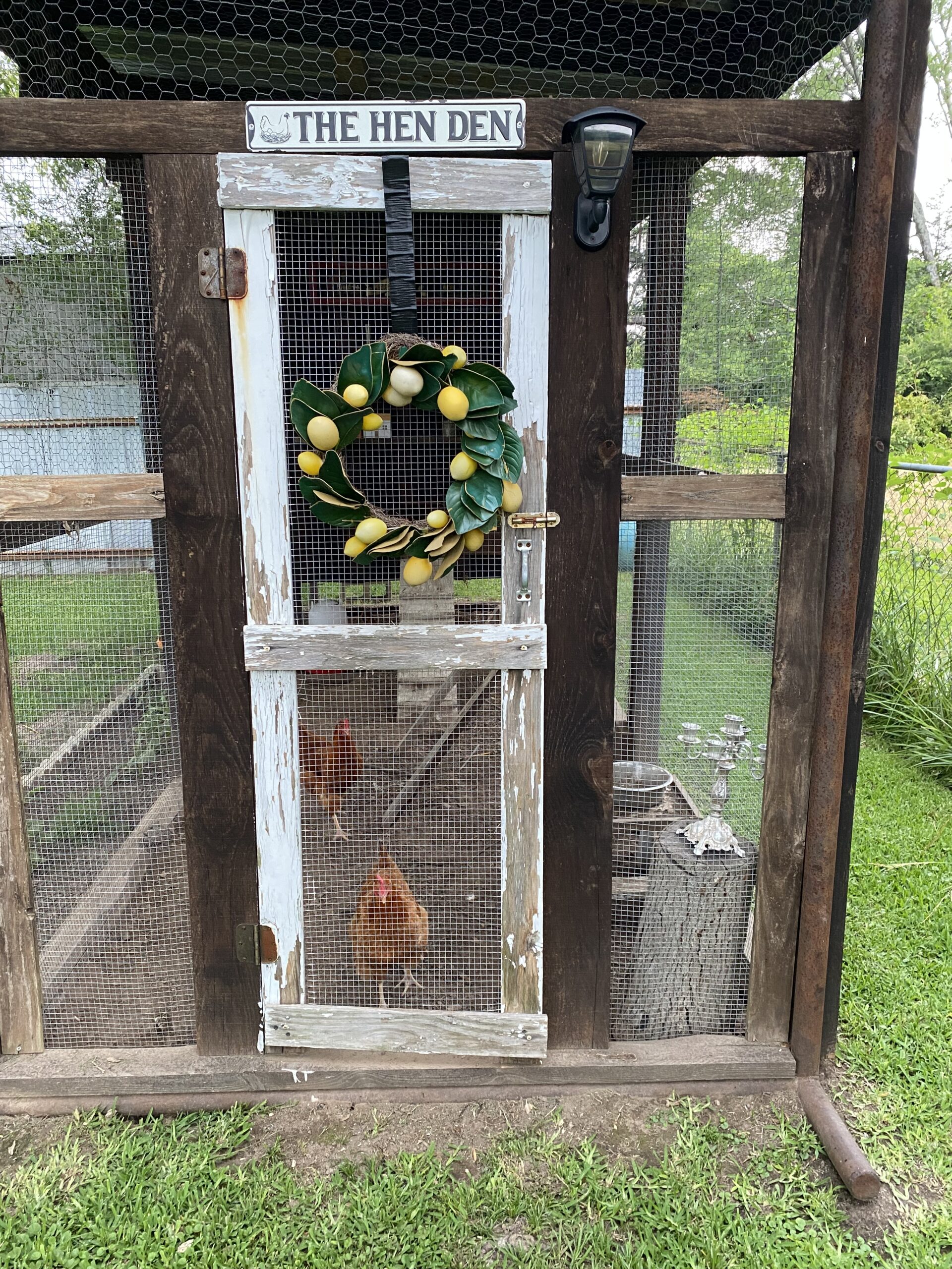 How We Got Back to Proverbs 31 Homesteading (Part 2) - God Sprouts The ...