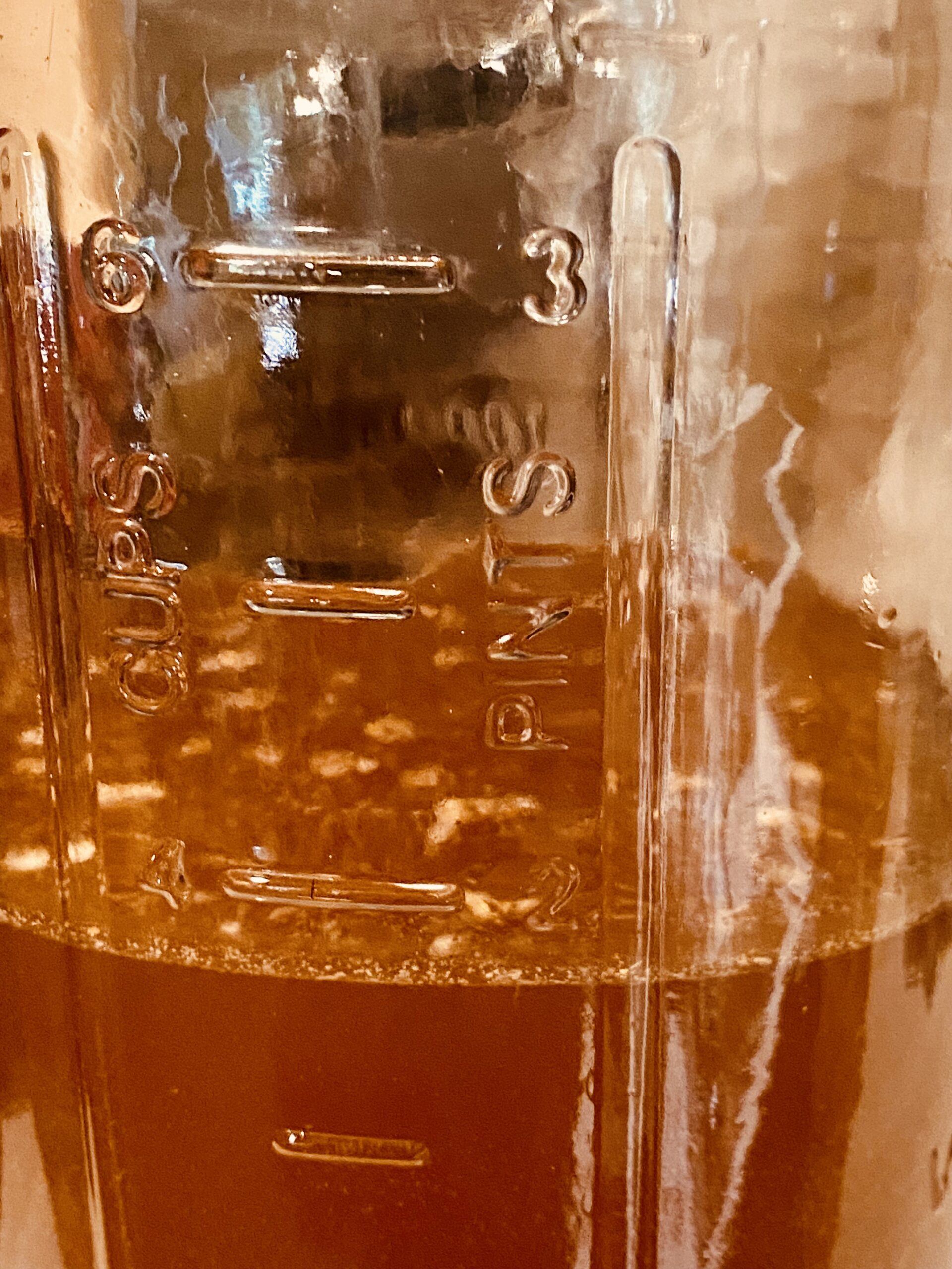 Lower Sugar Kombucha with Quicker Ferment Time! - God Sprouts The Seeds